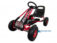 ¿Quieres saber todo antes de comprar un kart a pedales? ️